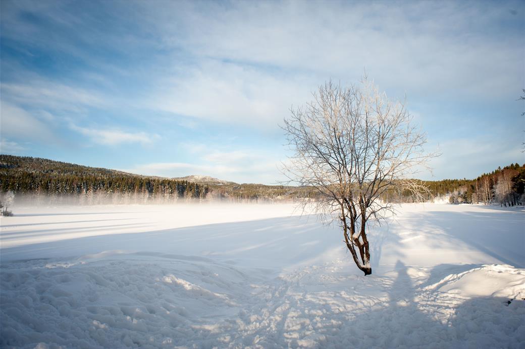 Sognsvann lake